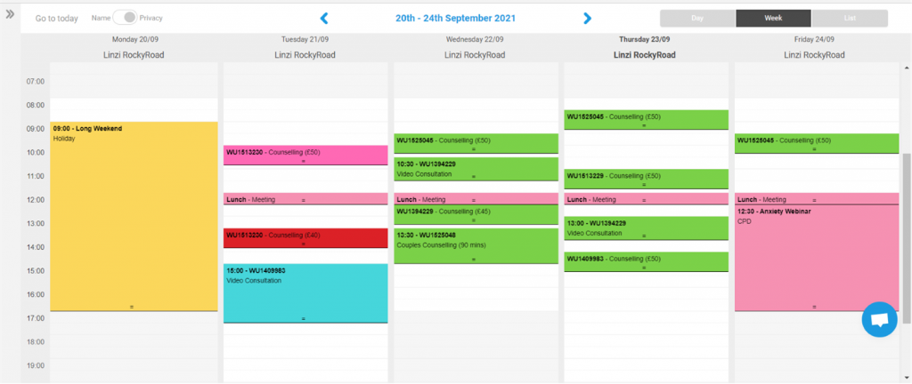 WriteUpp Practice Management Software - My Review - Business of Counselling